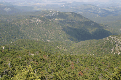 Greek Environmental Team Green Hope: ΤΟ ΦΑΙΝΟΜΕΝΟ ΤΟΥ ΕΥΤΡΟΦΙΣΜΟΥ